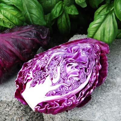 Cabbage Red Kalibos Seeds – Gran's Garden Seeds